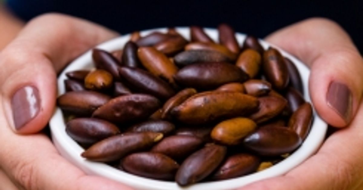 Are Baru Nuts a New Superfood? - Facty Health