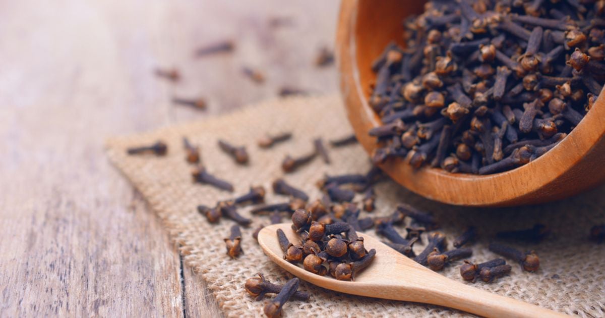 Health Benefits Of Cloves - Facty Health
