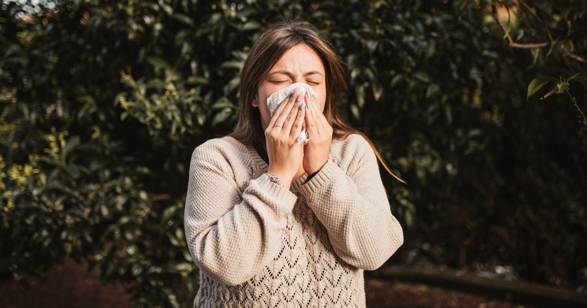 Preventing and Treating Spring Allergies - Facty Health