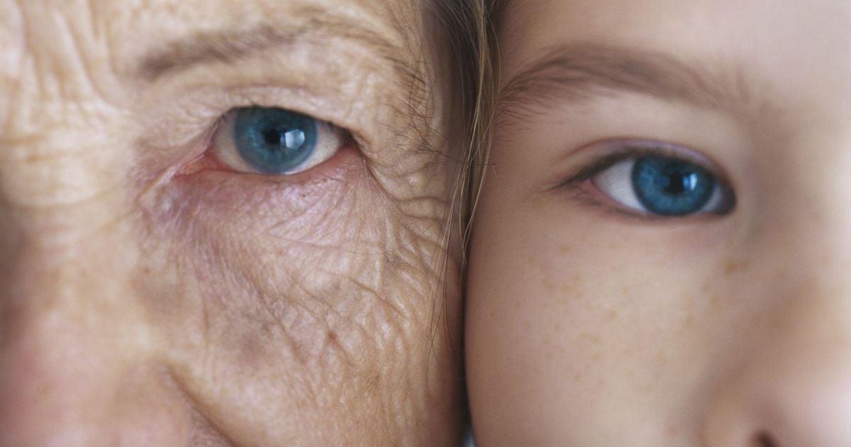 Ageotypes: Can Science Predict How You'll Age? - Facty Health