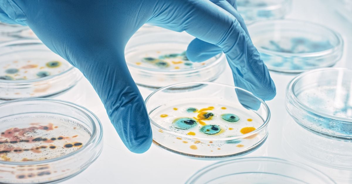 How Serious Are These 10 Germs? - Facty Health