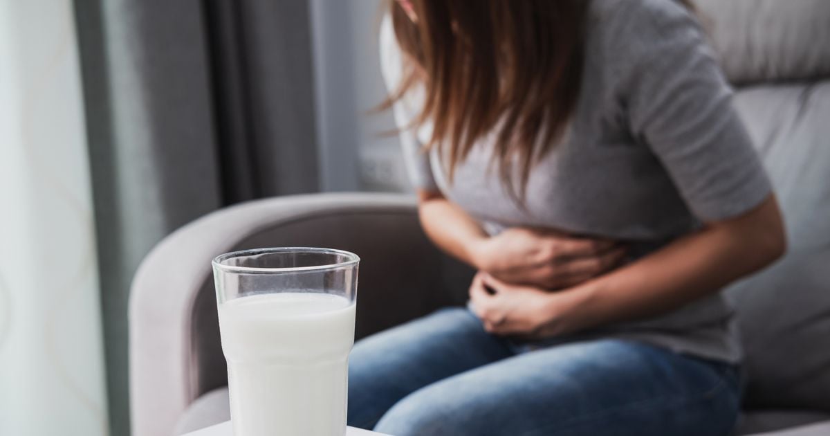 All About Food Intolerances - Facty Health