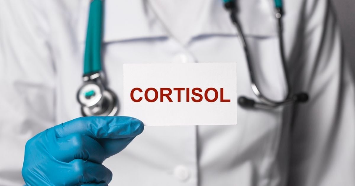 The Hidden Dangers of High Cortisol Levels - Facty Health