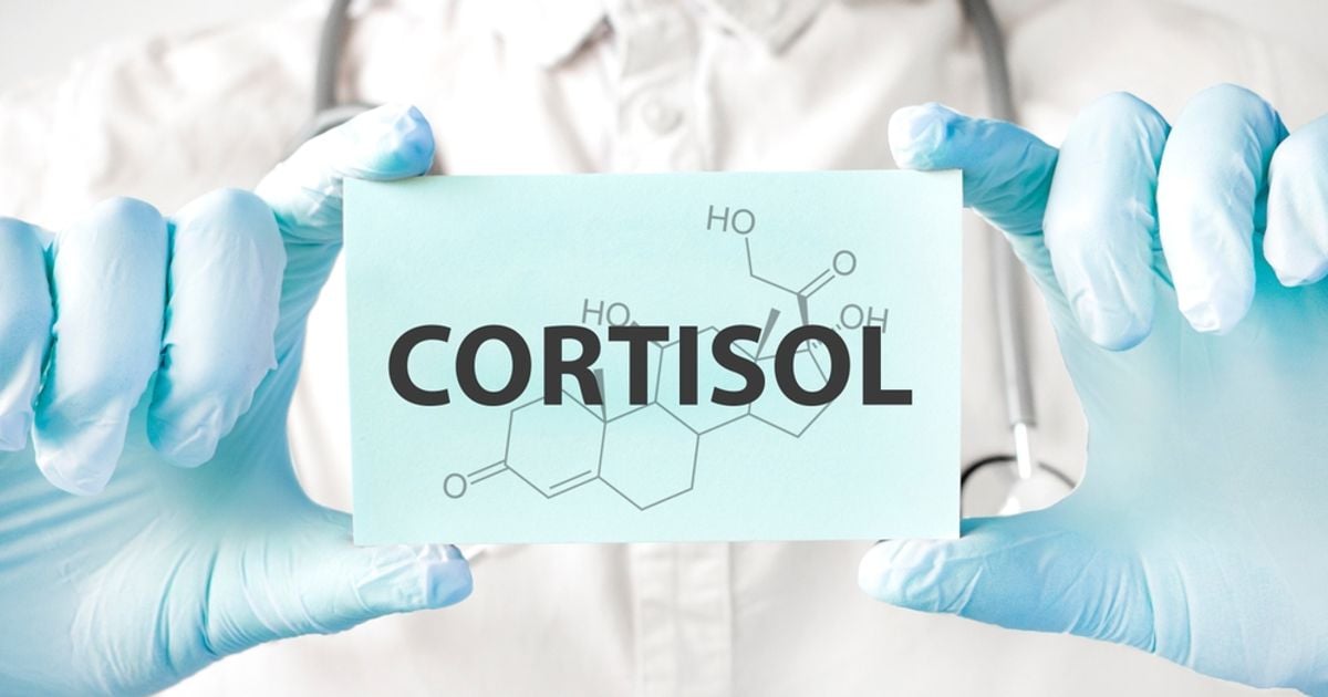 Top Foods to Naturally Lower Cortisol Levels - Facty Health