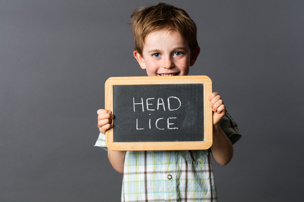 10 Symptoms of Head Lice - Facty Health