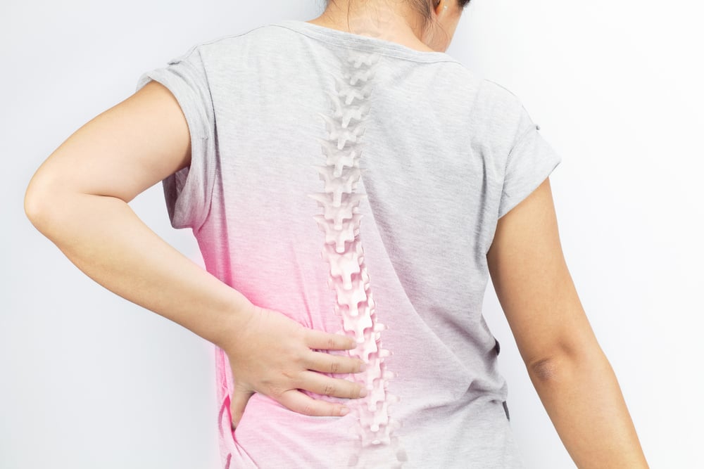 Quick and effective lower back exercises for all ages - Facty Health