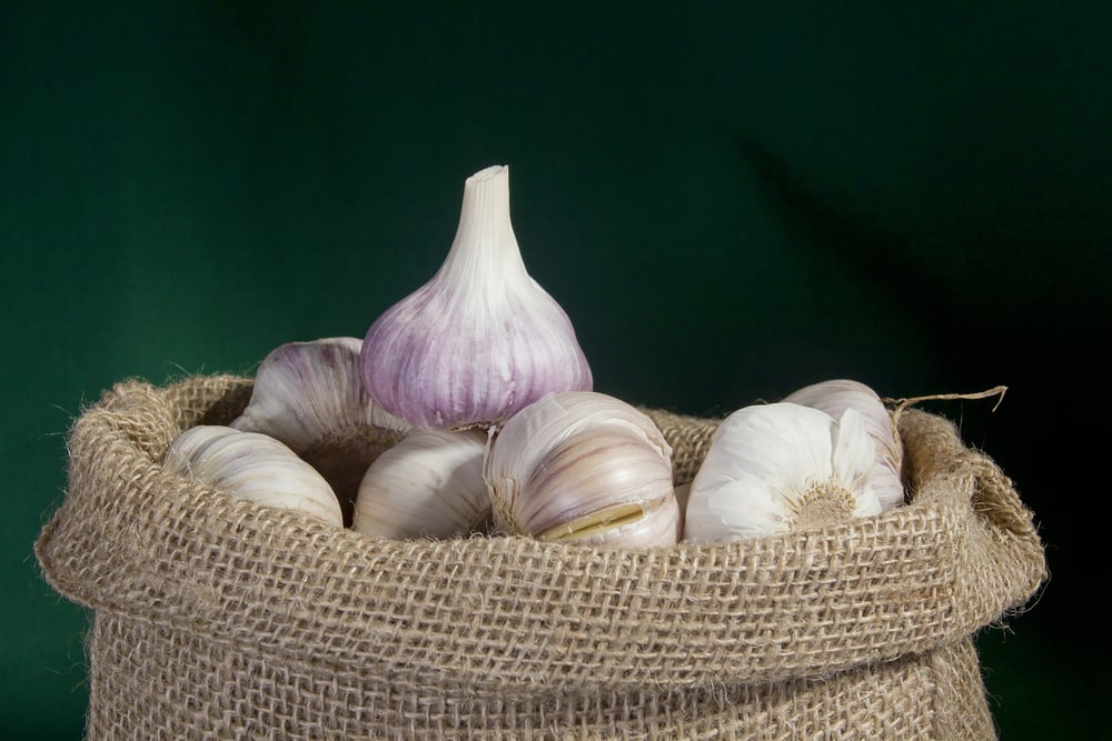 Discover the 12 Remarkable Health Benefits of Garlic - Facty Health