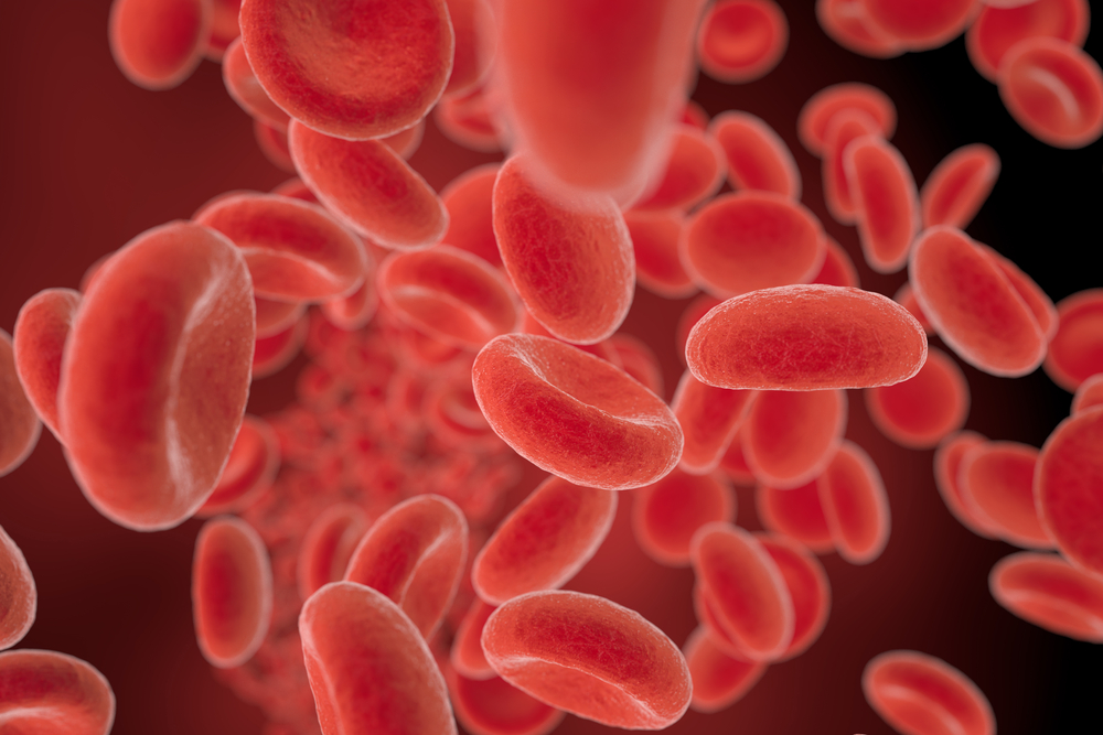 What Is A Bone Marrow Biopsy Facty Health What Is A Bone Marrow Biopsy Facty Health