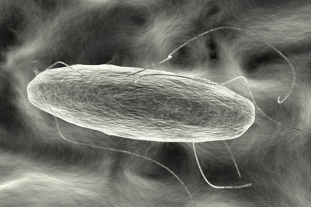 10 Symptoms of Typhoid Fever - Facty Health