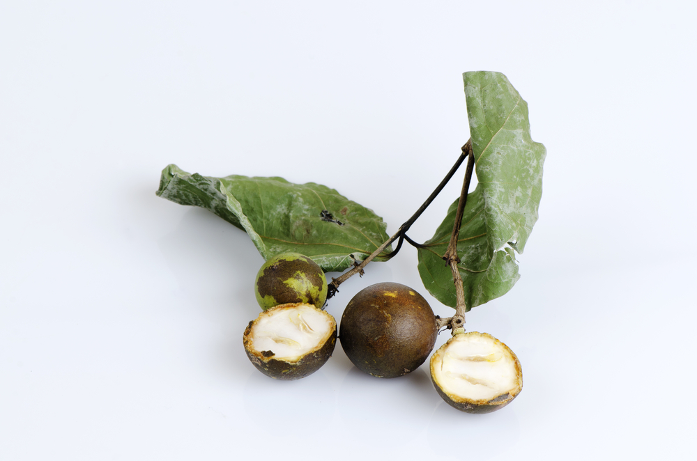 Health Benefits of Nux Vomica - Facty Health