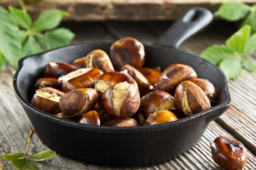 The Mighty Chestnut - Facty Health