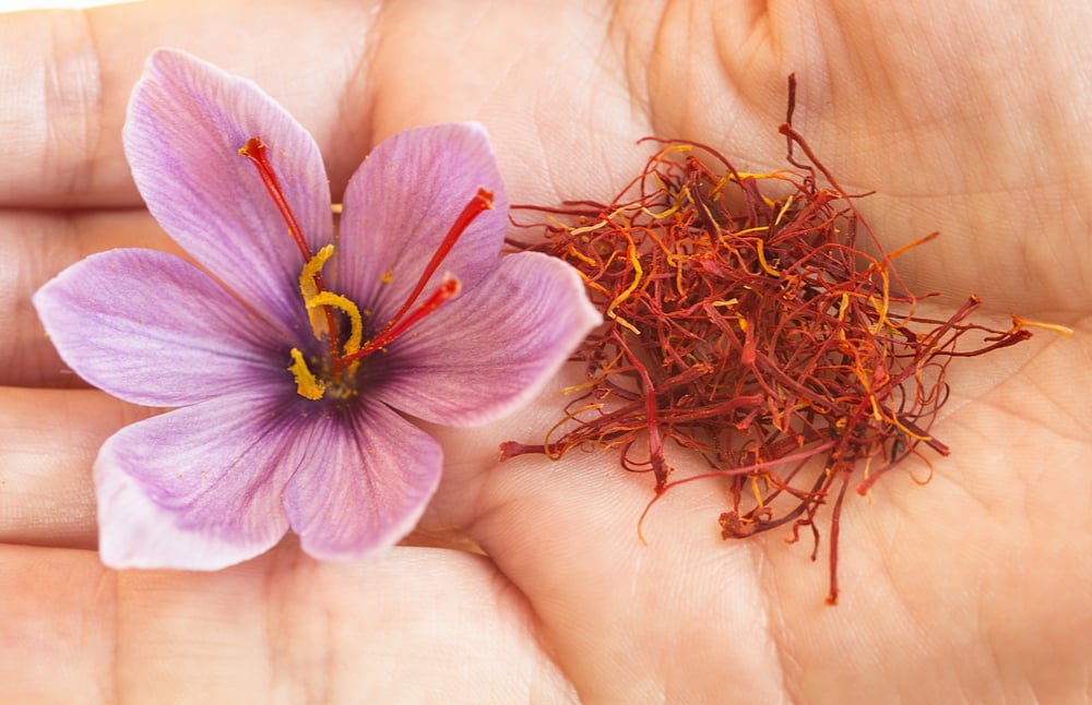 The Golden Spice: Saffron and Its Health Benefits - Facty Health