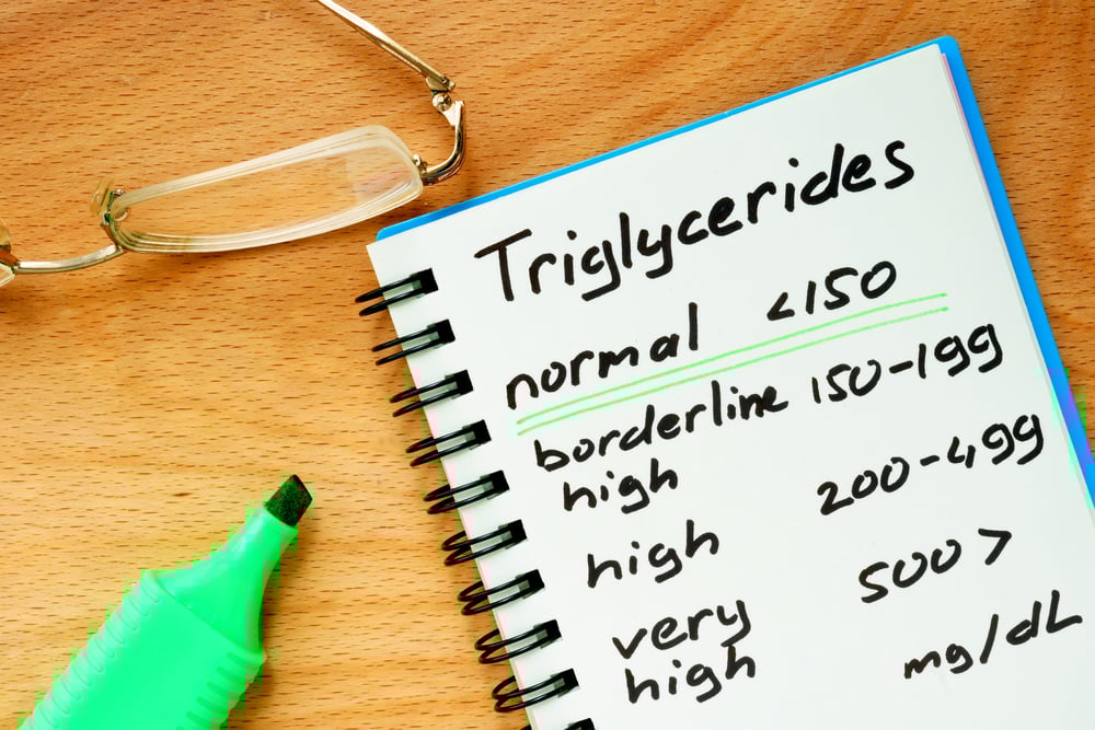 Understanding Triglycerides and Their Impact on Health - Facty Health