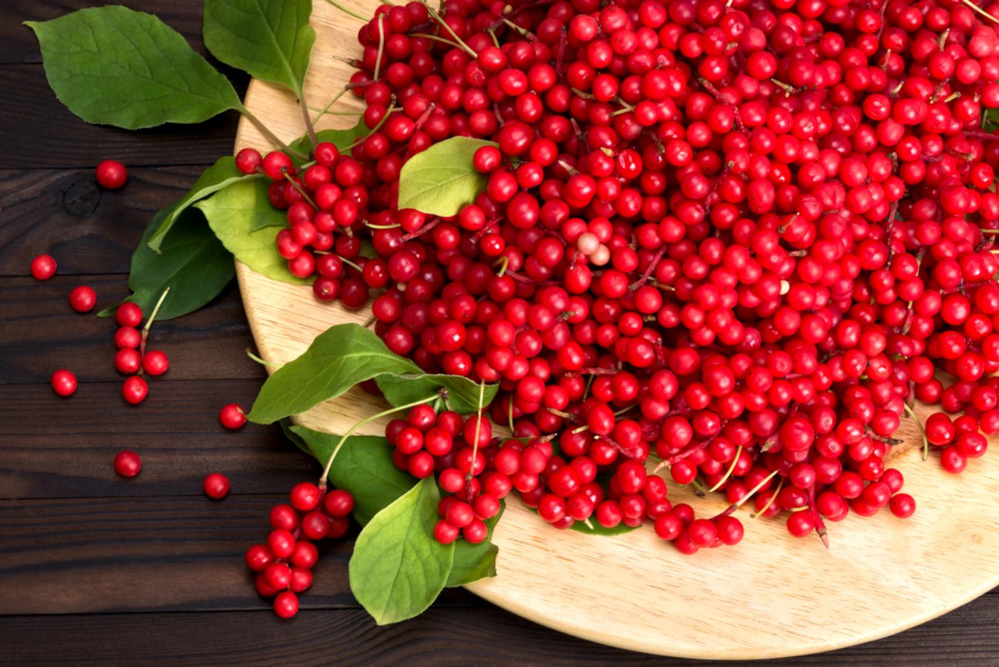 Health Benefits of Schisandra - Facty Health