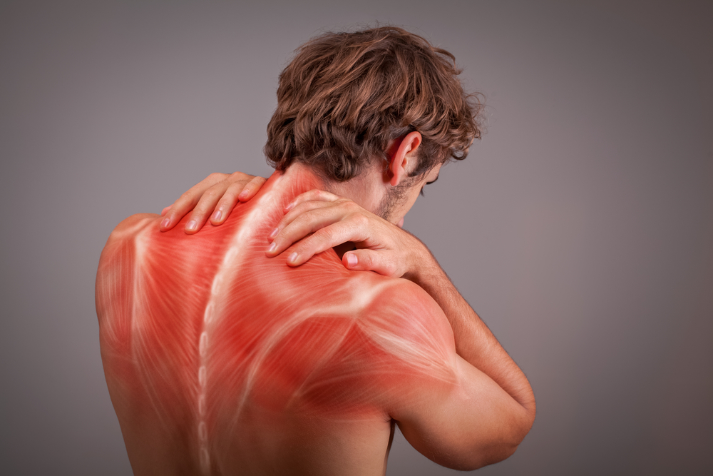 10 Crucial Frequently Asked Questions About Myalgia - Facty Health