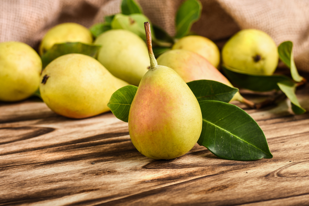 The Pear Not the Forbidden Fruit - Facty Health