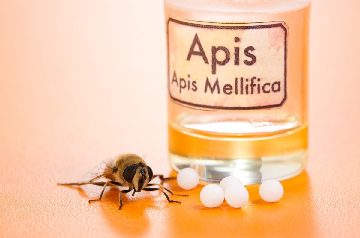 Surprising Benefits of Apitherapy - Facty Health