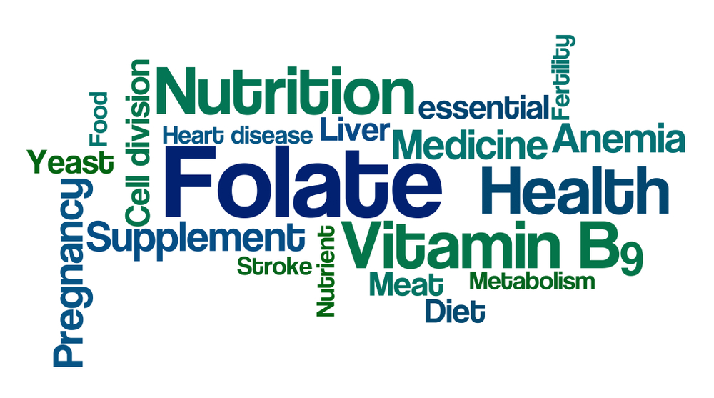 The Many Health Benefits Of Folate - Facty Health