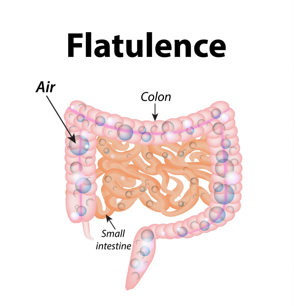 10 Gas Inducing Foods To Skip On Low Flatulence Diet Facty Health