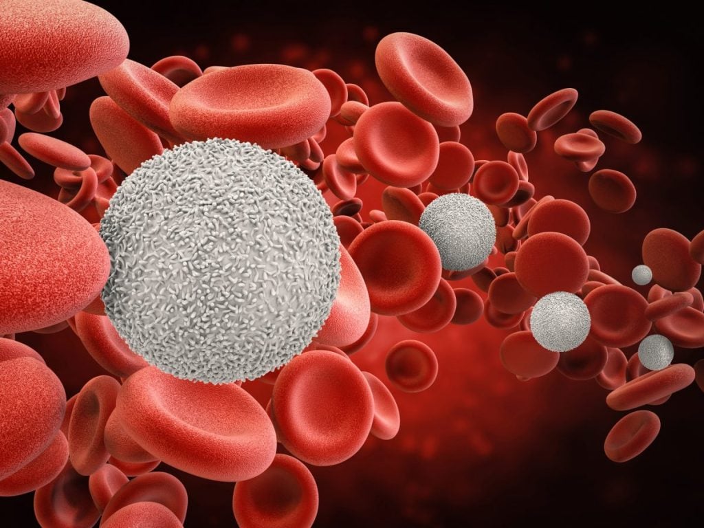 What Is Hemoglobin Facty Health