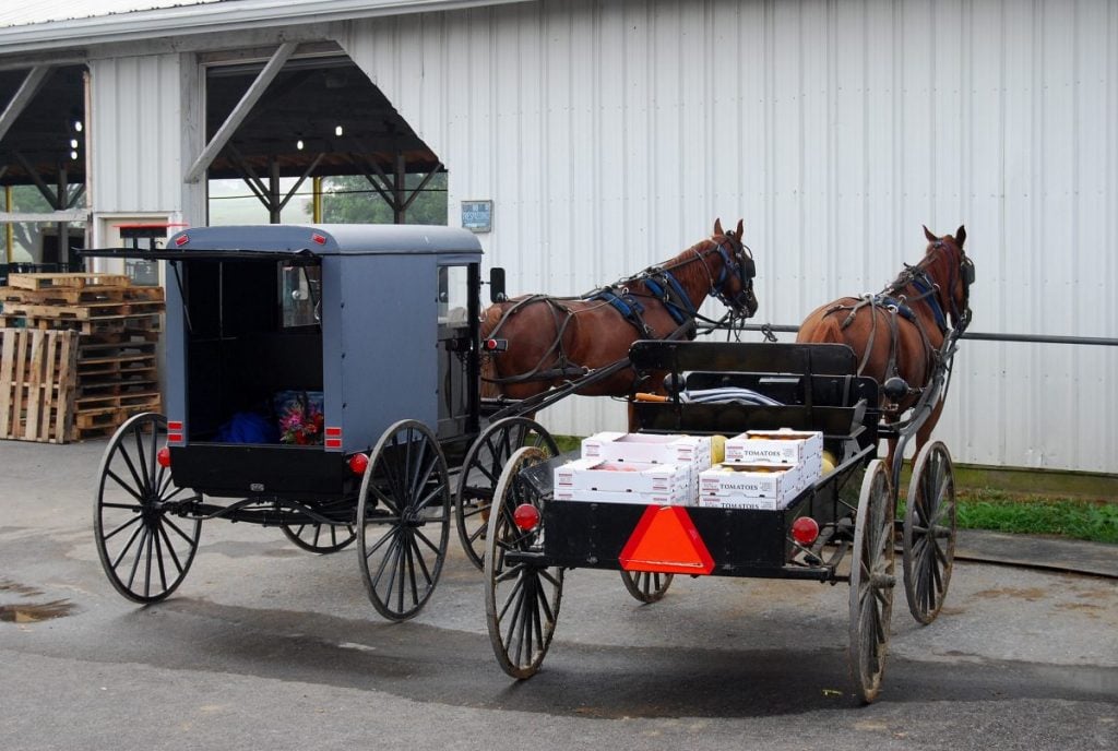 30 Facts That Can Change the Way You Look at the Amish - Facty