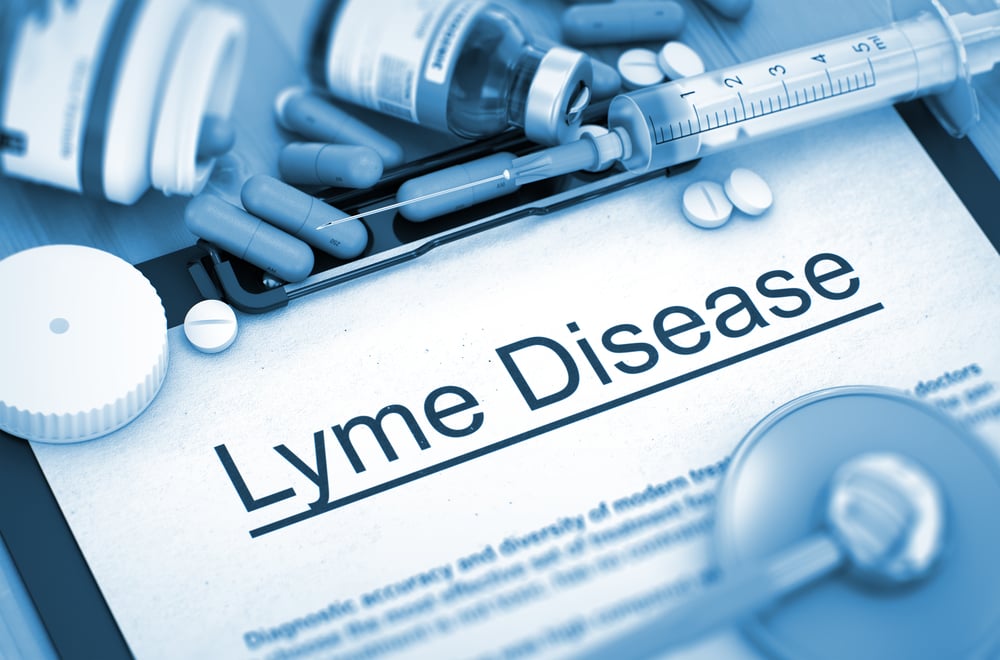 10 Causes, Risks, and Complications of Lyme Disease - Facty Health