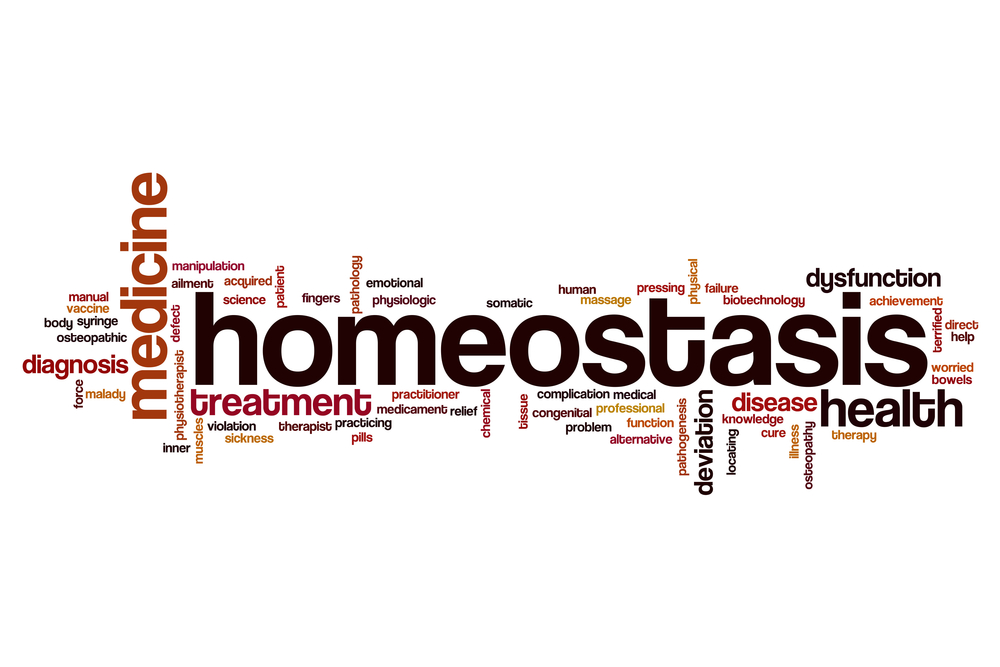 Homeostasis: What It Is and How It Works - Facty Health
