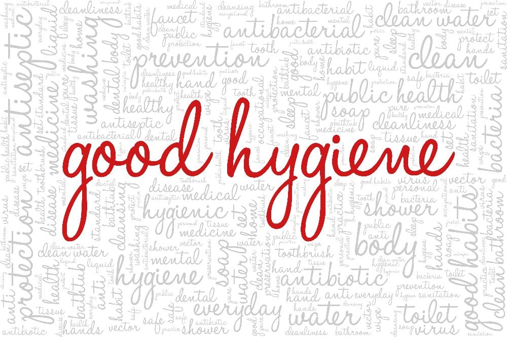 9 Hygiene Habits Essential for Good Health - Facty Health