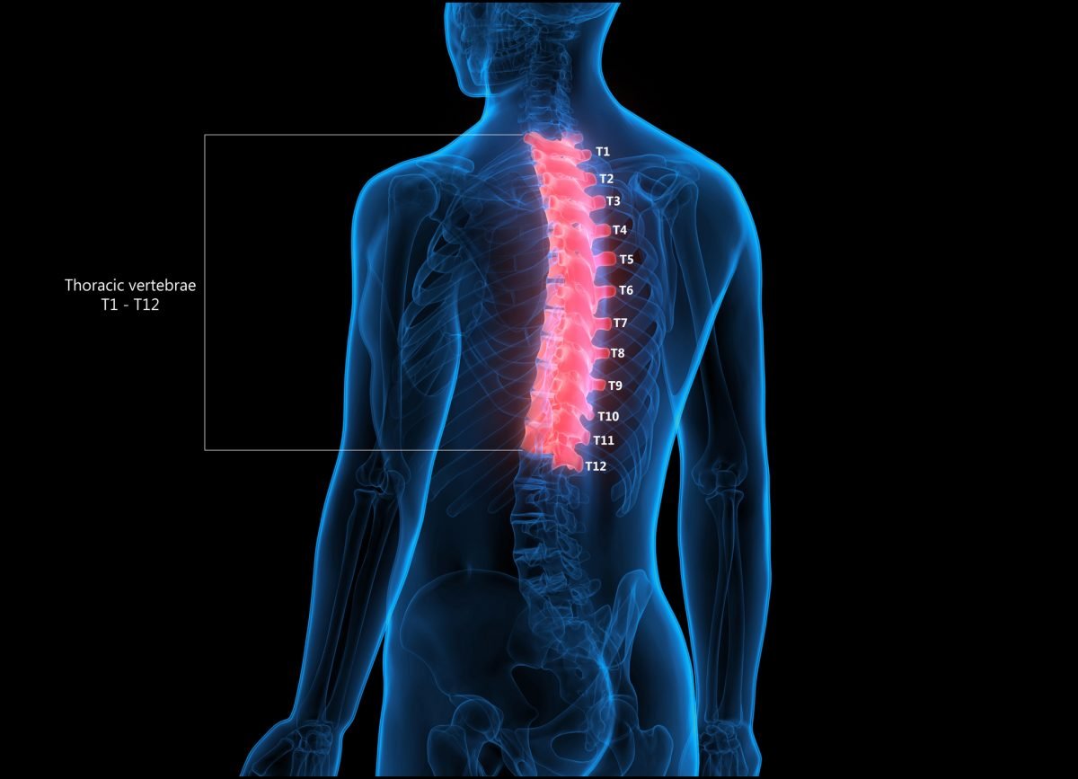 T3 T4 Spine