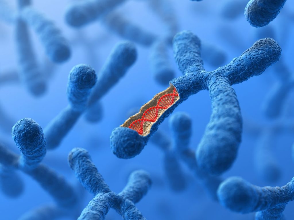 Some Important Facts About Aarskog Syndrome - Facty Health