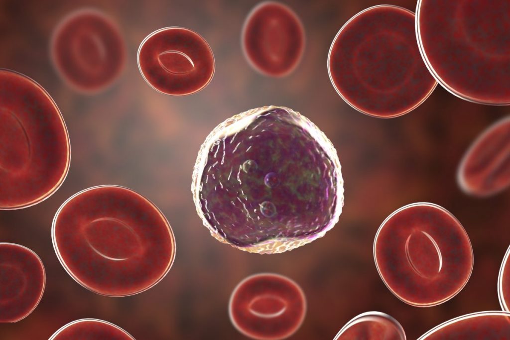 What Are Reticulocytes Facty Health