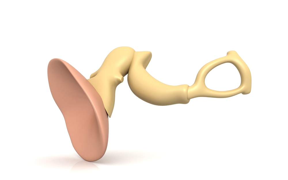 The Bones of the Ear - Facty Health