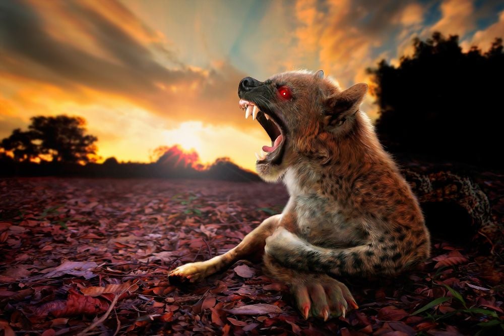 What is a Chupacabra? - Facty