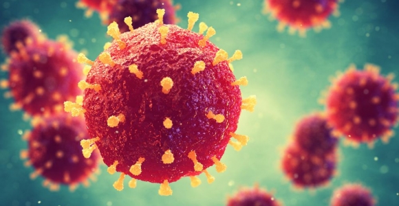 Common Pathogens and How They Affect Us - Facty Health