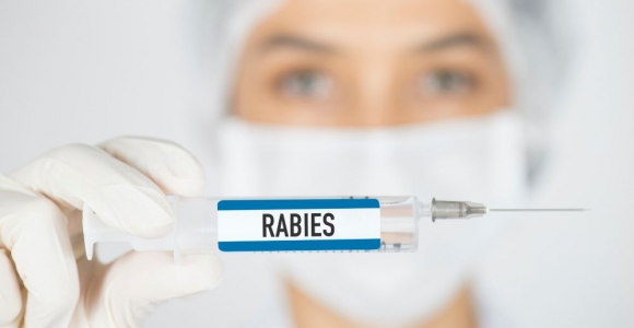 10 Symptoms of Rabies - Facty Health
