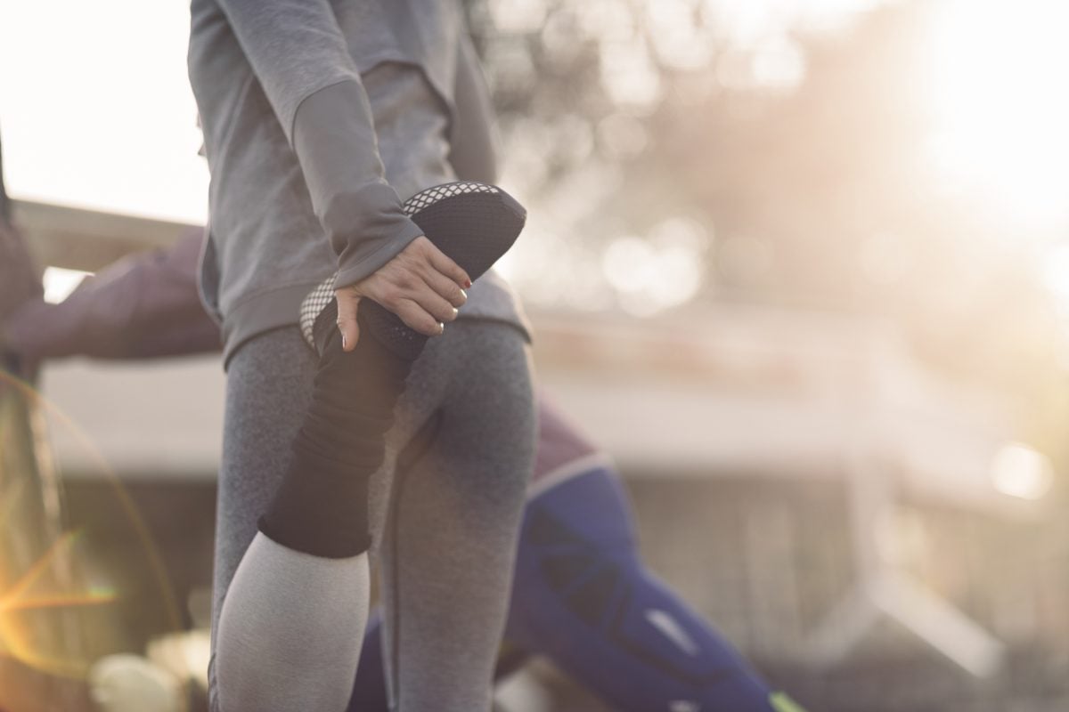 Form and Function of the Menisci of the Knee - Facty Health