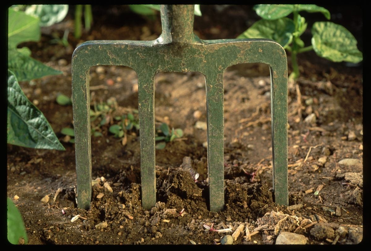 Gardening Hacks You'll Use From Now On - Facty