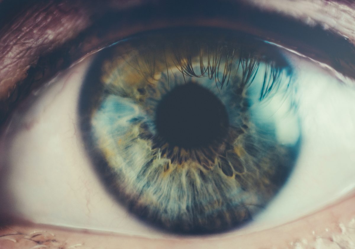 The Science Behind Eye Color - Facty Health