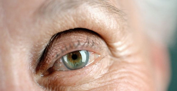 The Science Behind Eye Color - Facty Health